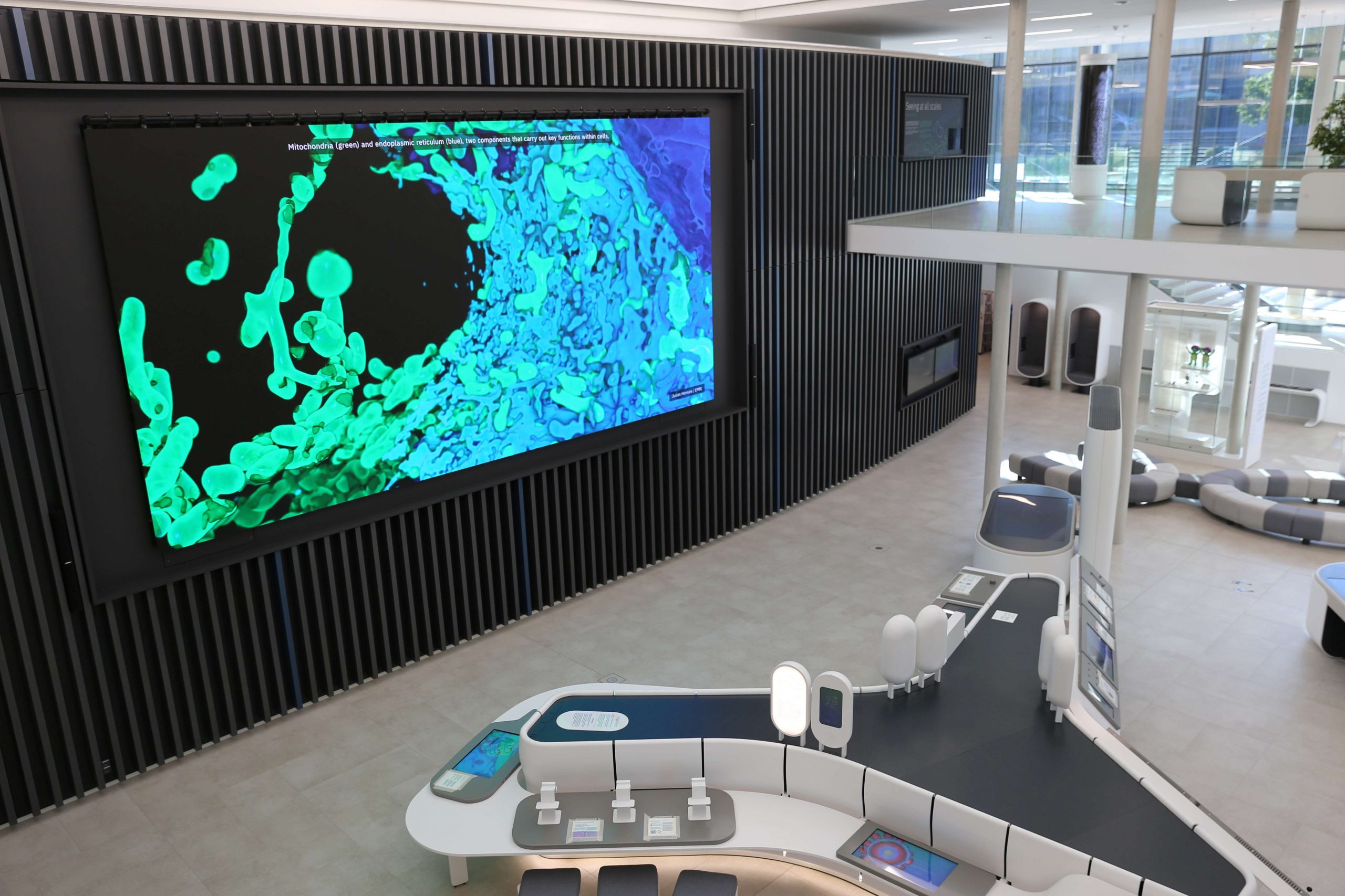 The European Molecular Biology Laboratory | Audio Case Study